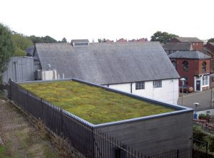 Growing Grass on a Rooftop | Garden lovers